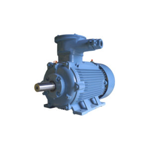 EP Series – 3 Phase Standard Efficiency (IE1) Explosion Proof Induction ...
